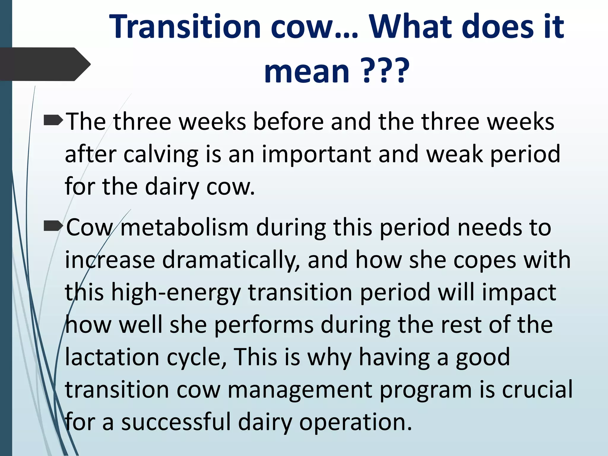 Transition cow management | PPTX