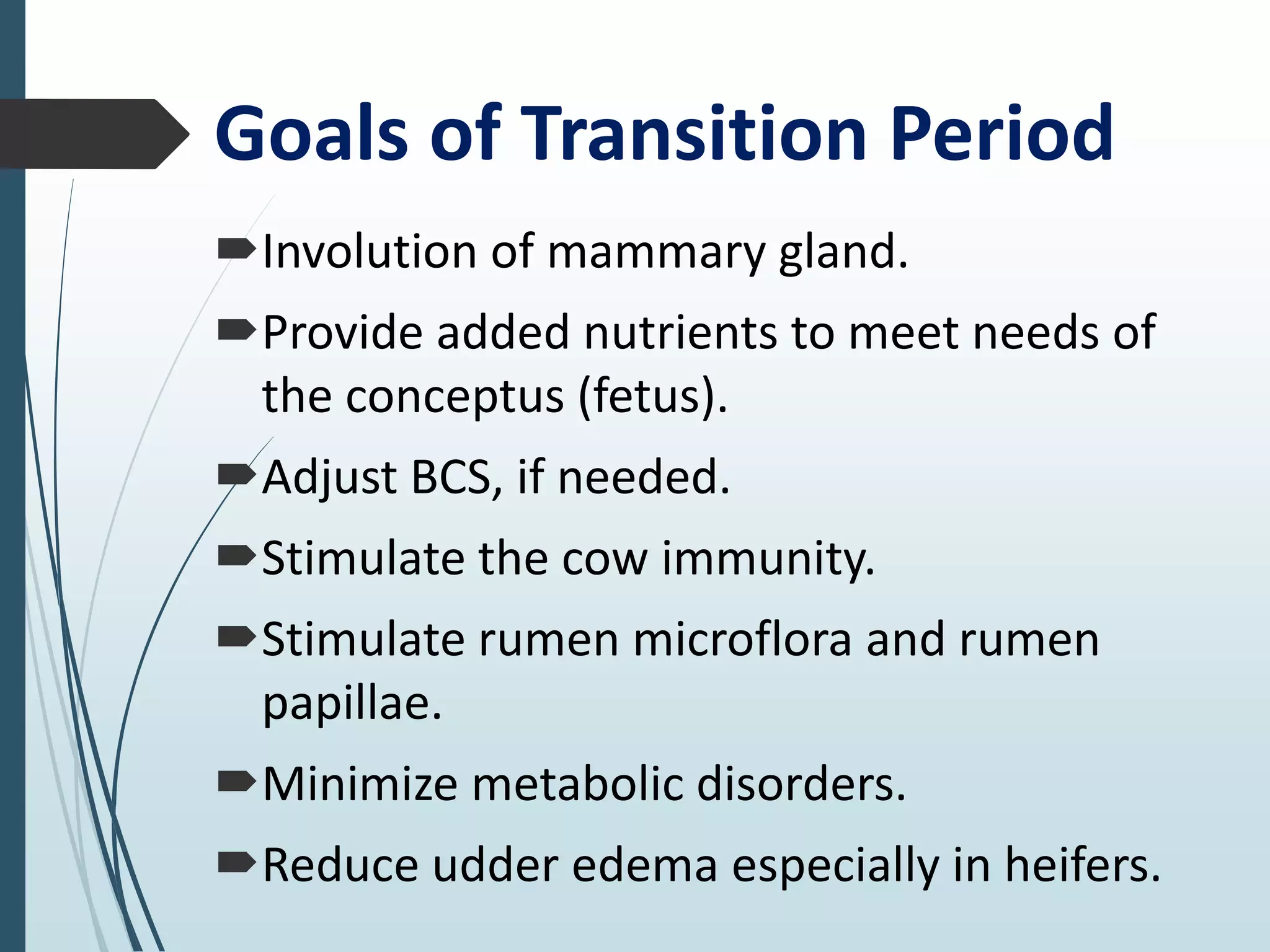 Transition cow management | PPTX