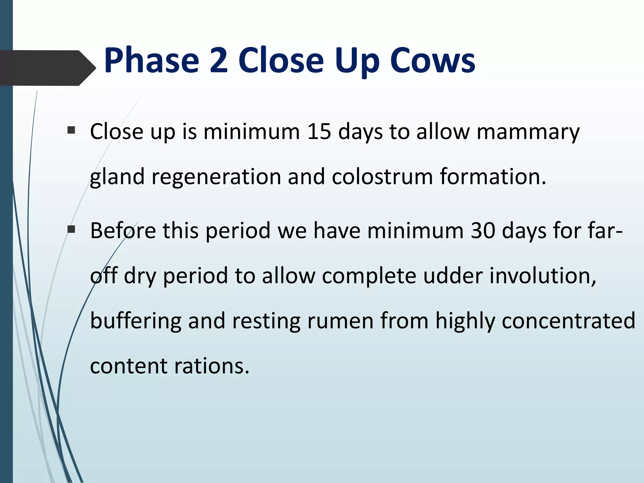Transition cow management | PPTX