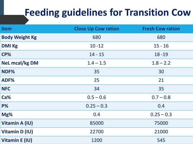 Transition cow management | PPTX