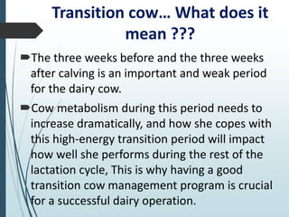Transition cow management | PPTX
