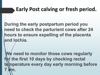 Transition cow management | PPTX