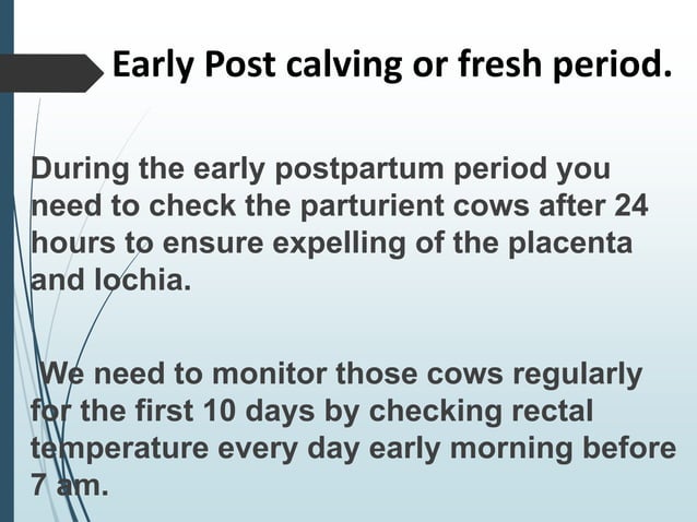 Transition cow management | PPTX
