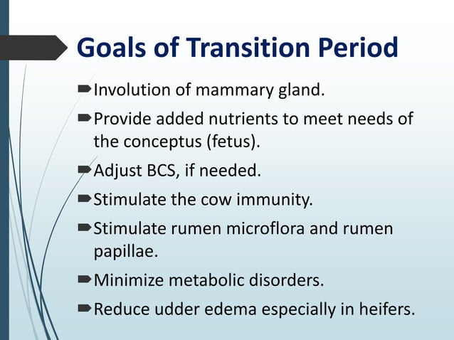 Transition cow management | PPTX