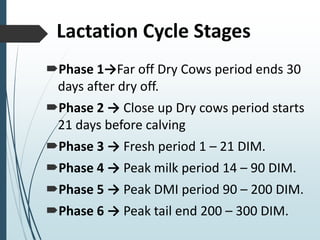 Transition cow management | PPTX