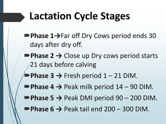 Transition cow management | PPTX