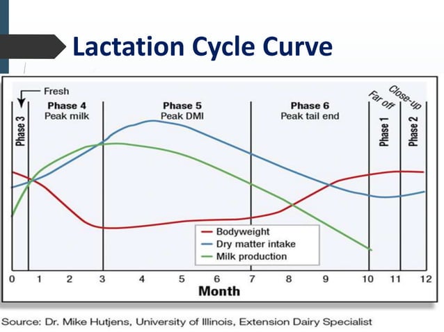 Transition cow management | PPTX
