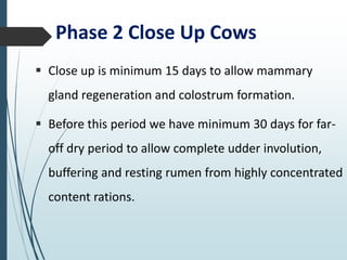 Transition cow management | PPTX