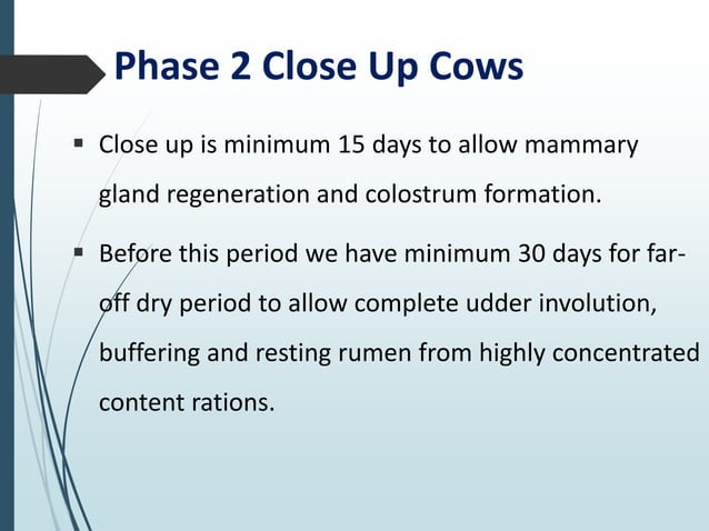 Transition cow management | PPTX