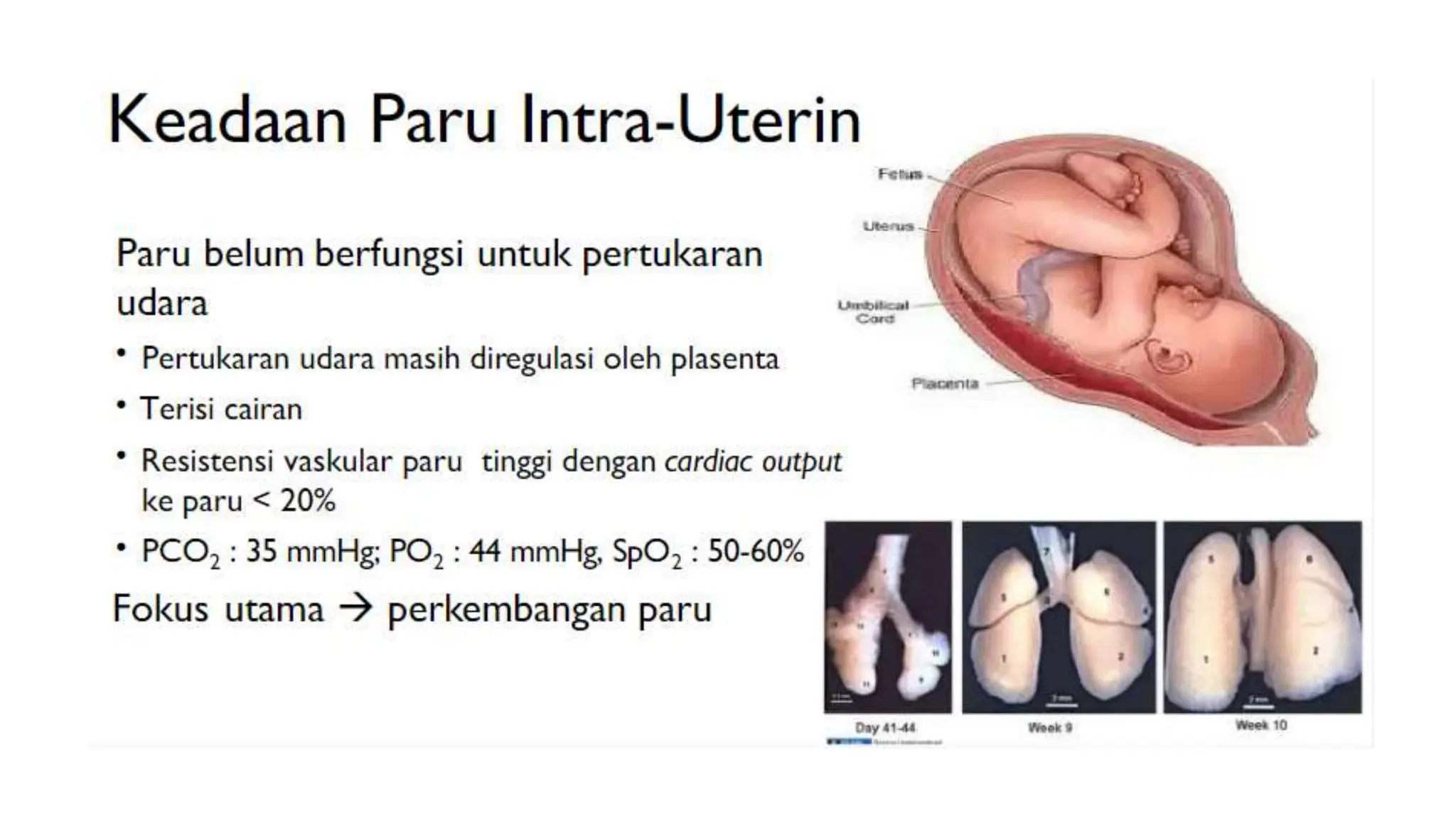 Transition from fetus to neonate in first life.pptx