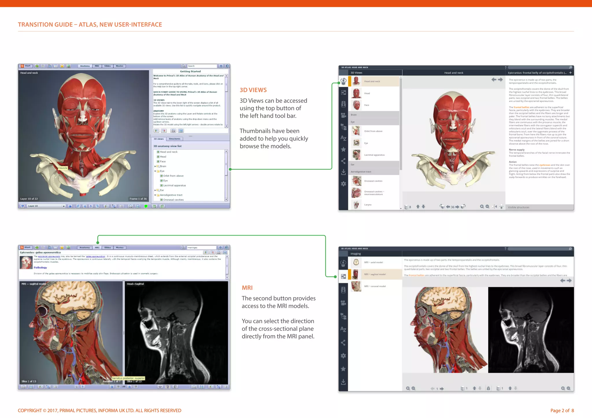 Primal's 3D Atlas of Human Anatomy has a new interface! | PDF