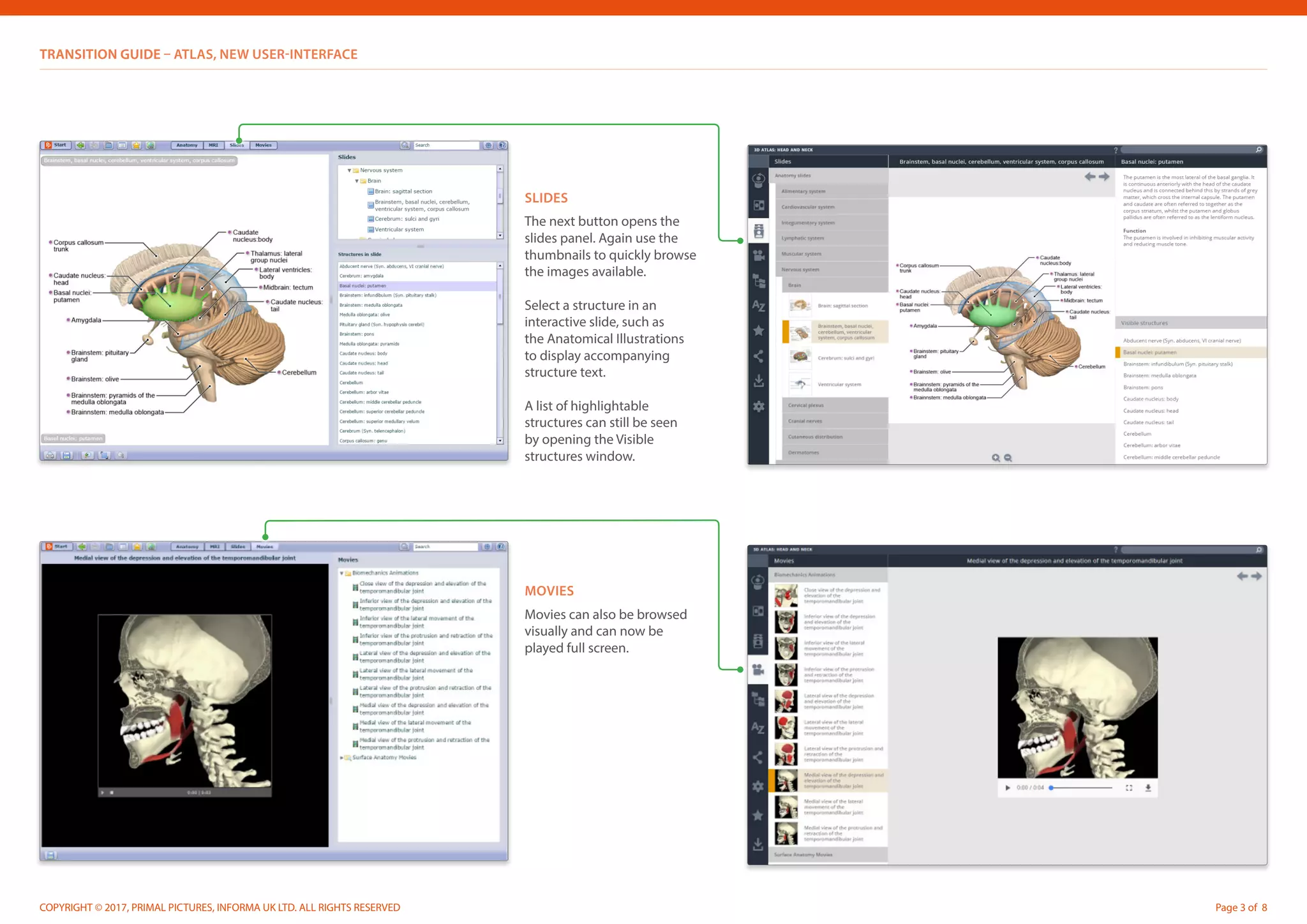 Primal's 3D Atlas of Human Anatomy has a new interface! | PDF