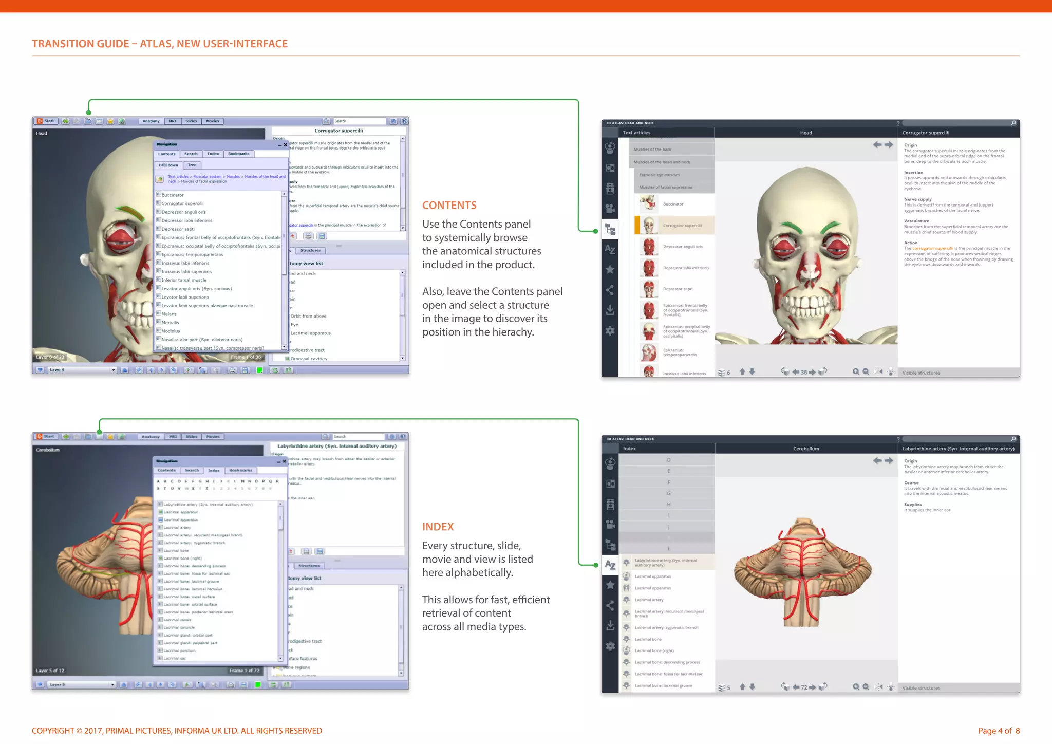 Primal's 3D Atlas of Human Anatomy has a new interface! | PDF