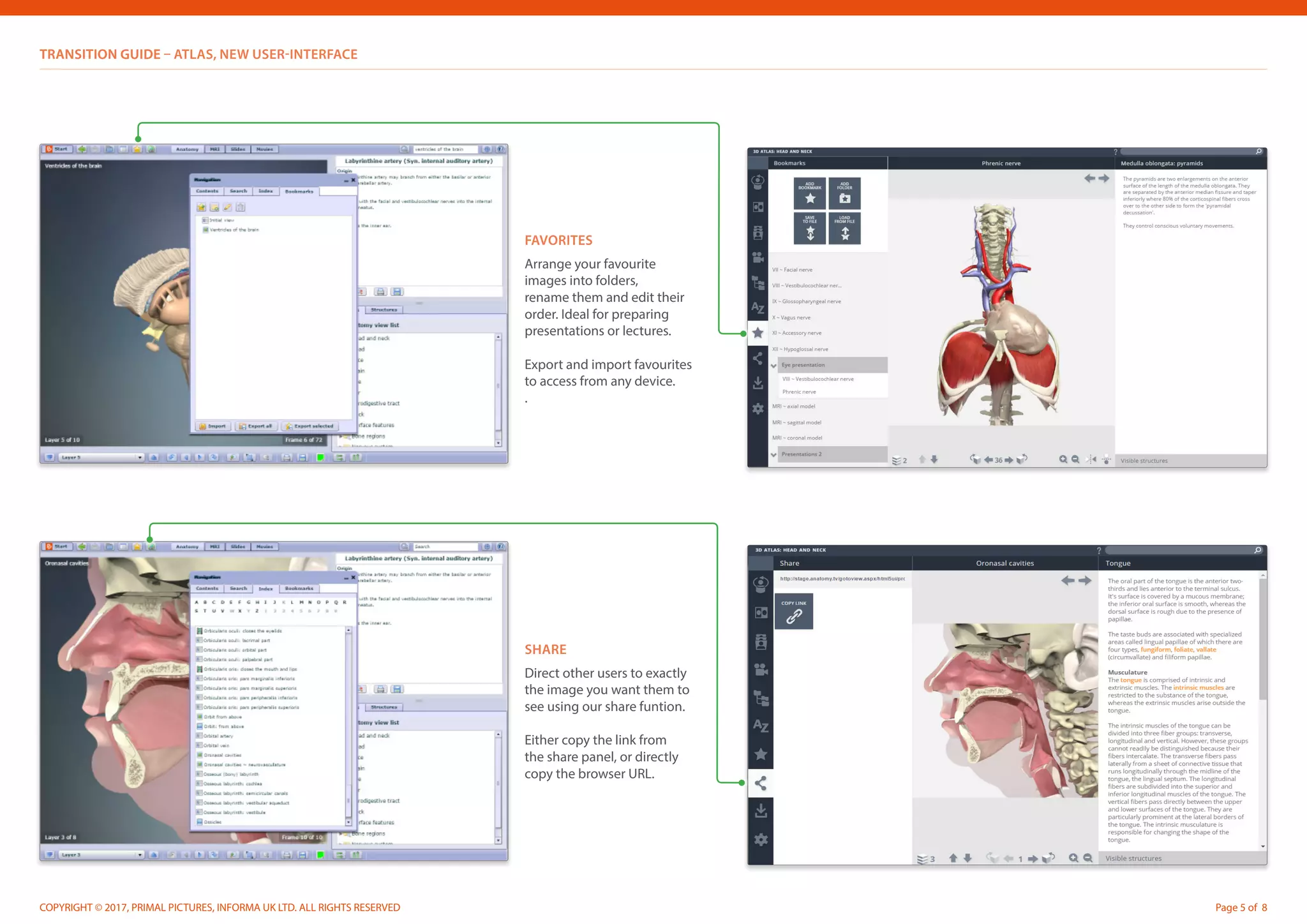 Primal's 3D Atlas of Human Anatomy has a new interface! | PDF