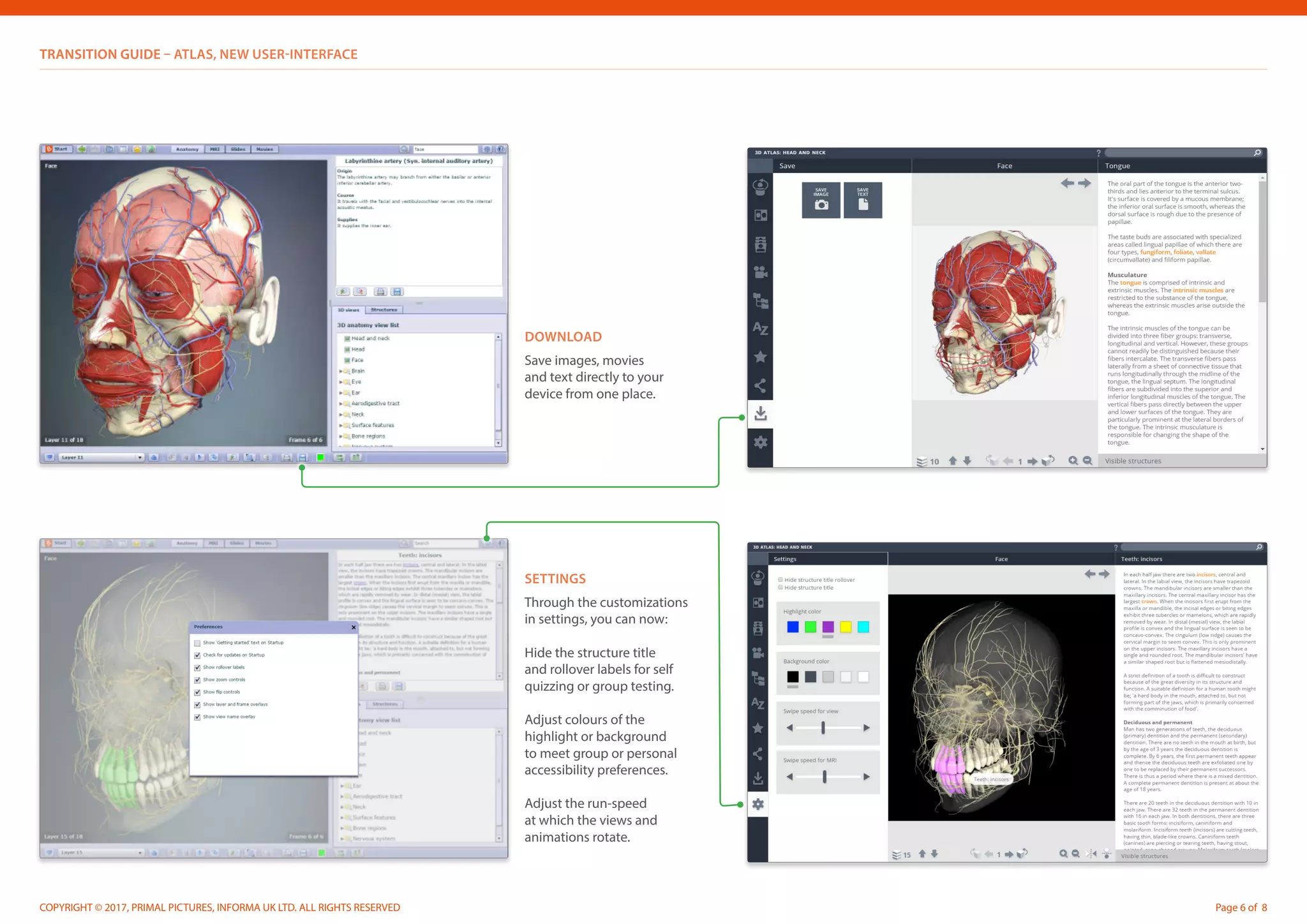 Primal's 3D Atlas of Human Anatomy has a new interface! | PDF