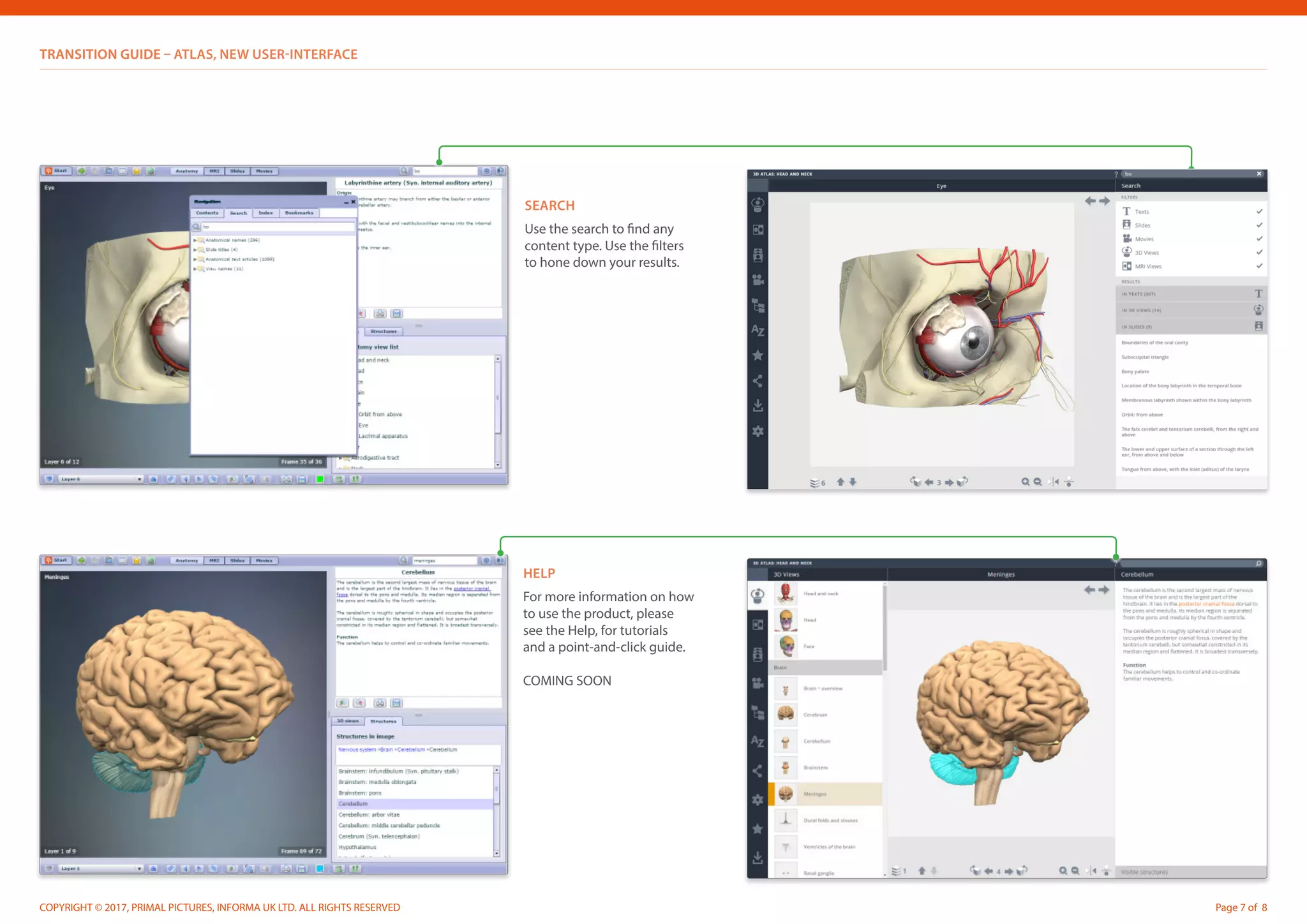 Primal's 3D Atlas of Human Anatomy has a new interface! | PDF