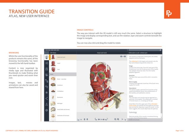 Primal's 3D Atlas of Human Anatomy has a new interface! | PPT