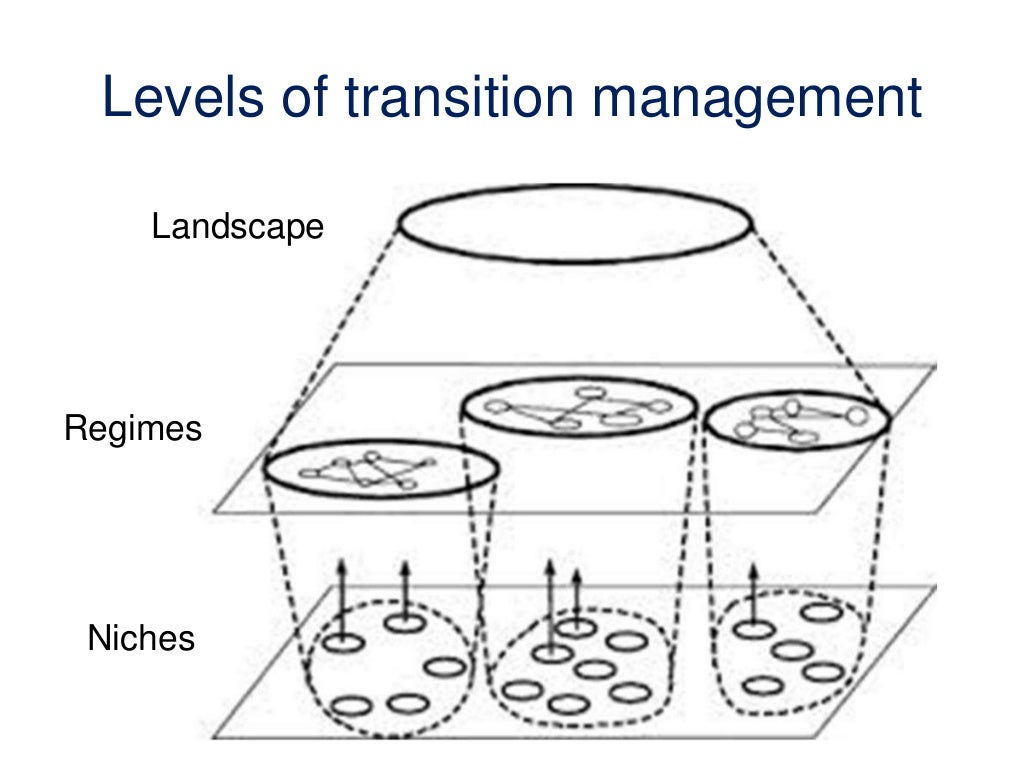 Transition management & the multi-level perspective