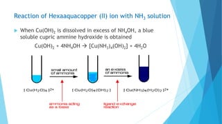 Transition metals: Manganese, Iron and Copper | PPTX