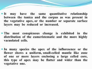 Transition of vegetative shoot apex into reproductive shoot | PPTX ...