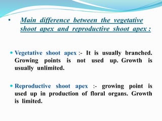 Transition of vegetative shoot apex into reproductive shoot | PPTX