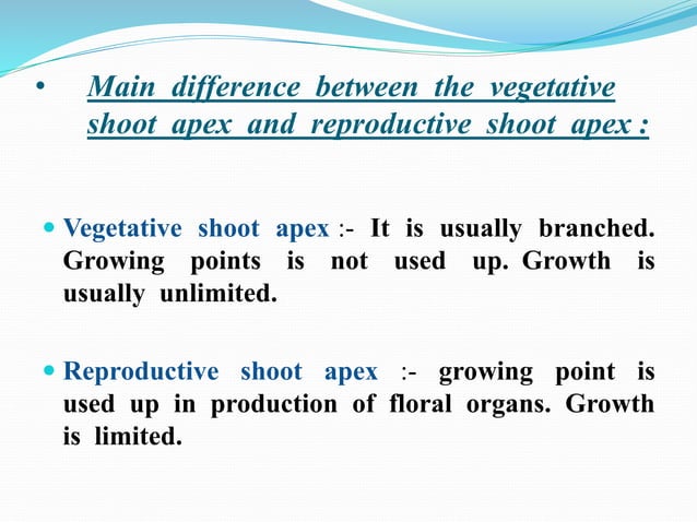 Transition of vegetative shoot apex into reproductive shoot | PPTX ...