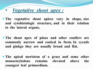 Transition of vegetative shoot apex into reproductive shoot | PPTX ...