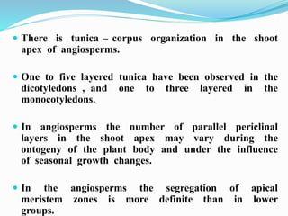 Transition of vegetative shoot apex into reproductive shoot | PPTX ...