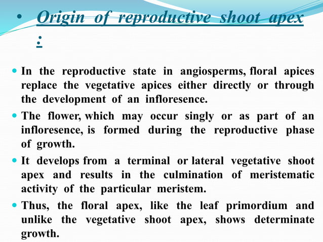 Transition of vegetative shoot apex into reproductive shoot | PPTX ...