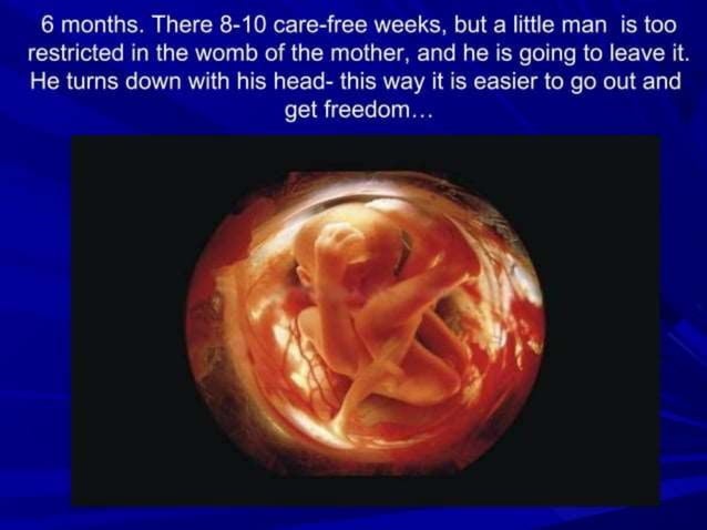 Transition States in Newborn Period.pptx