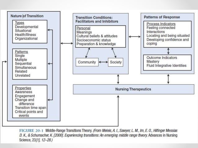 Transitions theory Afaf Meleis | PPTX | Physical Therapy | Wellness