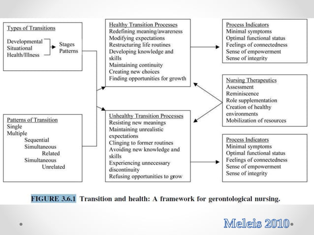 Transitions theory Afaf Meleis