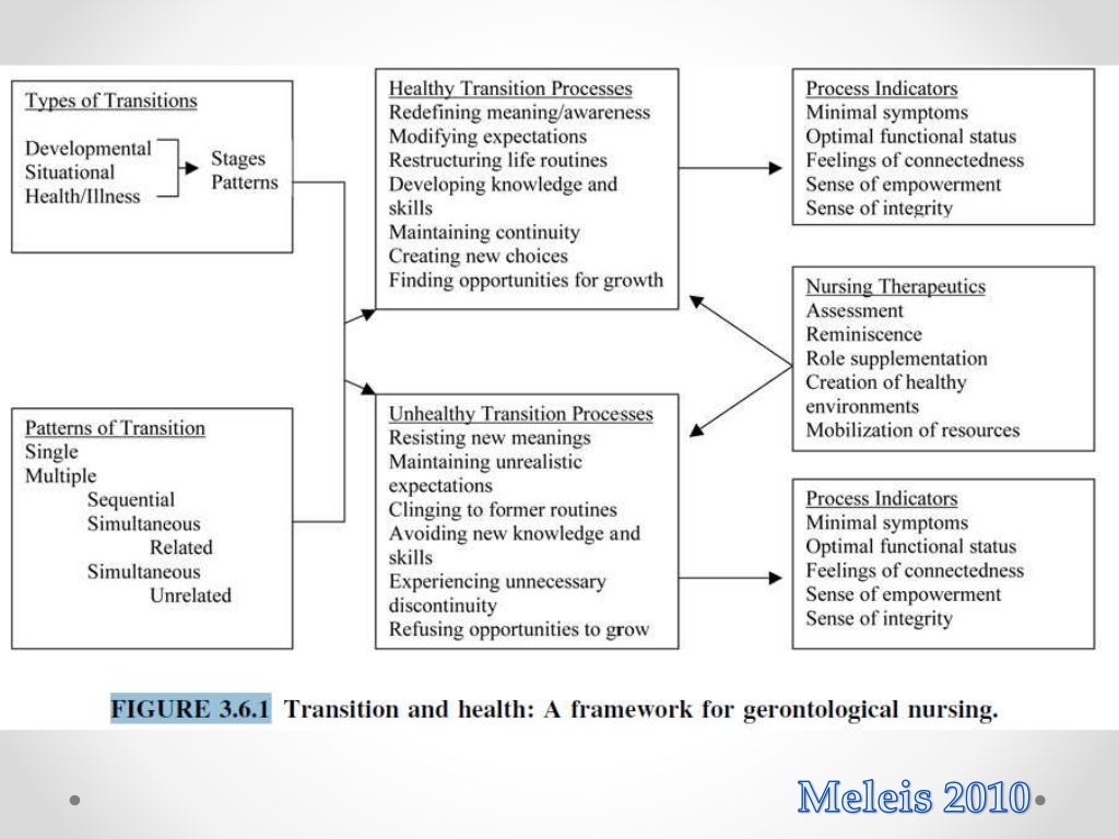 Transitions theory Afaf Meleis