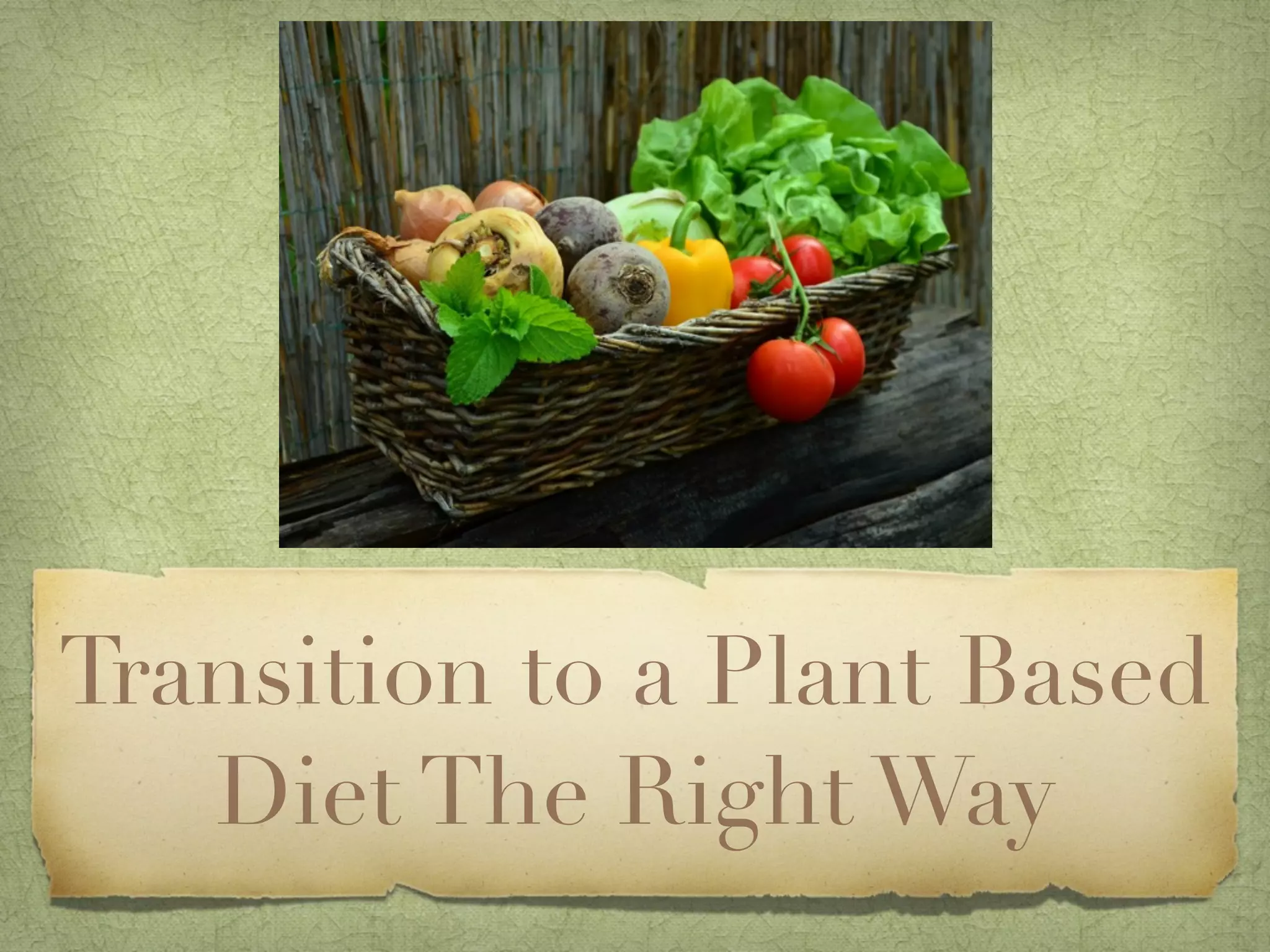 Transition to a Plant Based Diet The Right Way | PDF