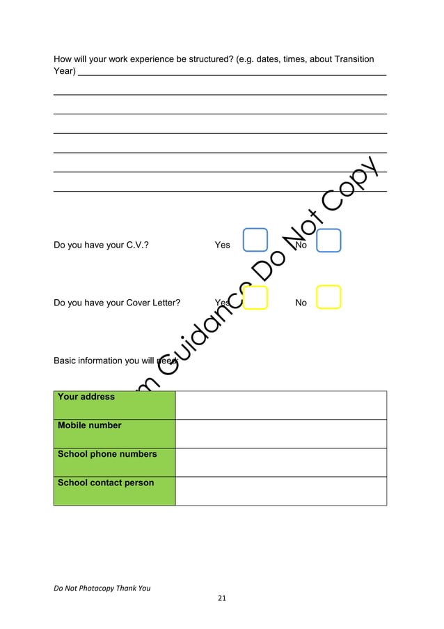 Transition Year Work Experience & Voc Preperation | PDF