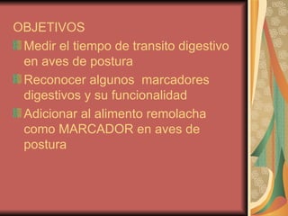 Transito Intestinal | PPT