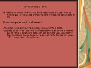 Transito Intestinal | PPT