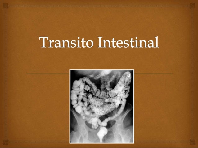 Transito intestinal
