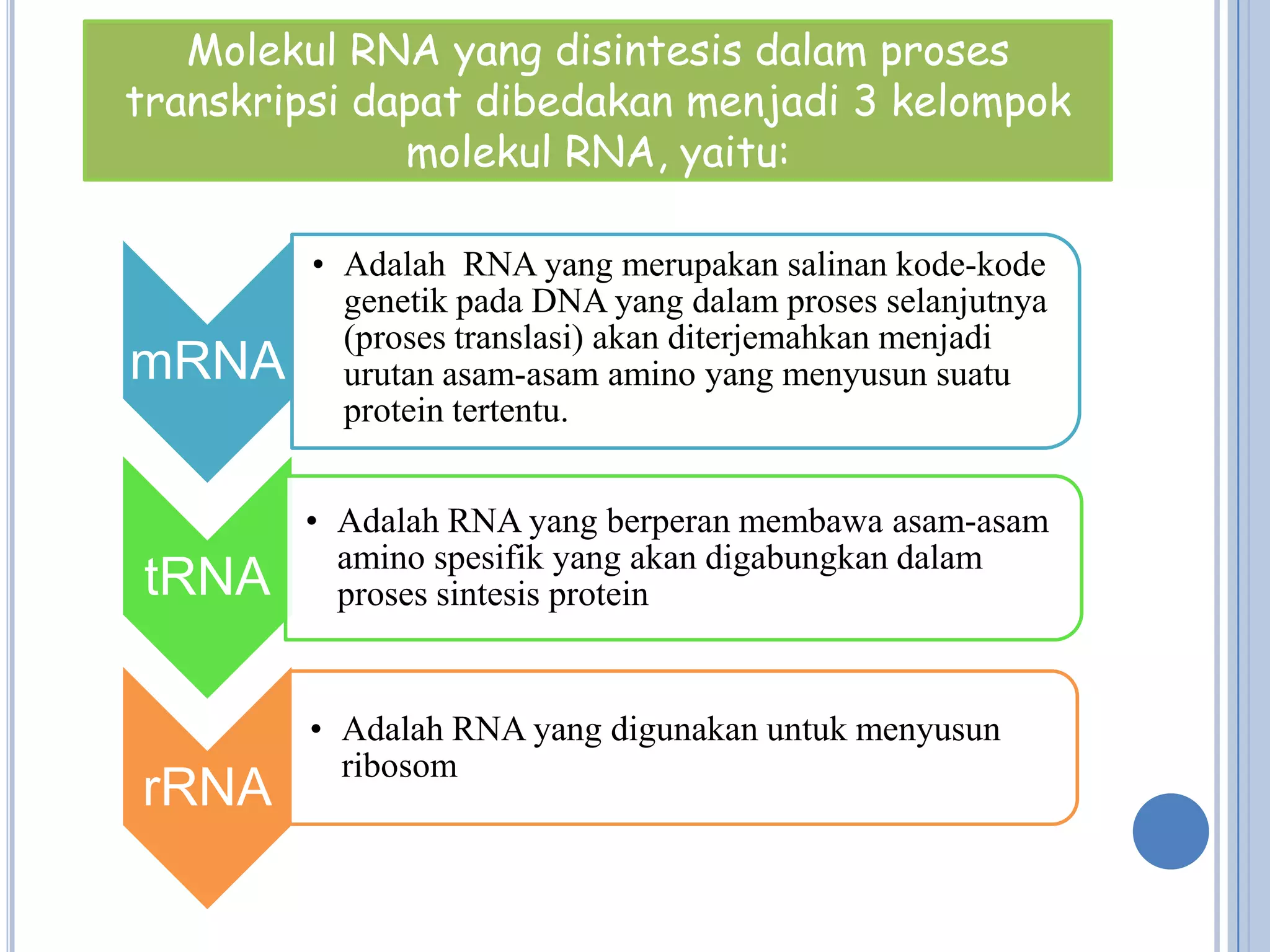 Transkripsi | PPTX