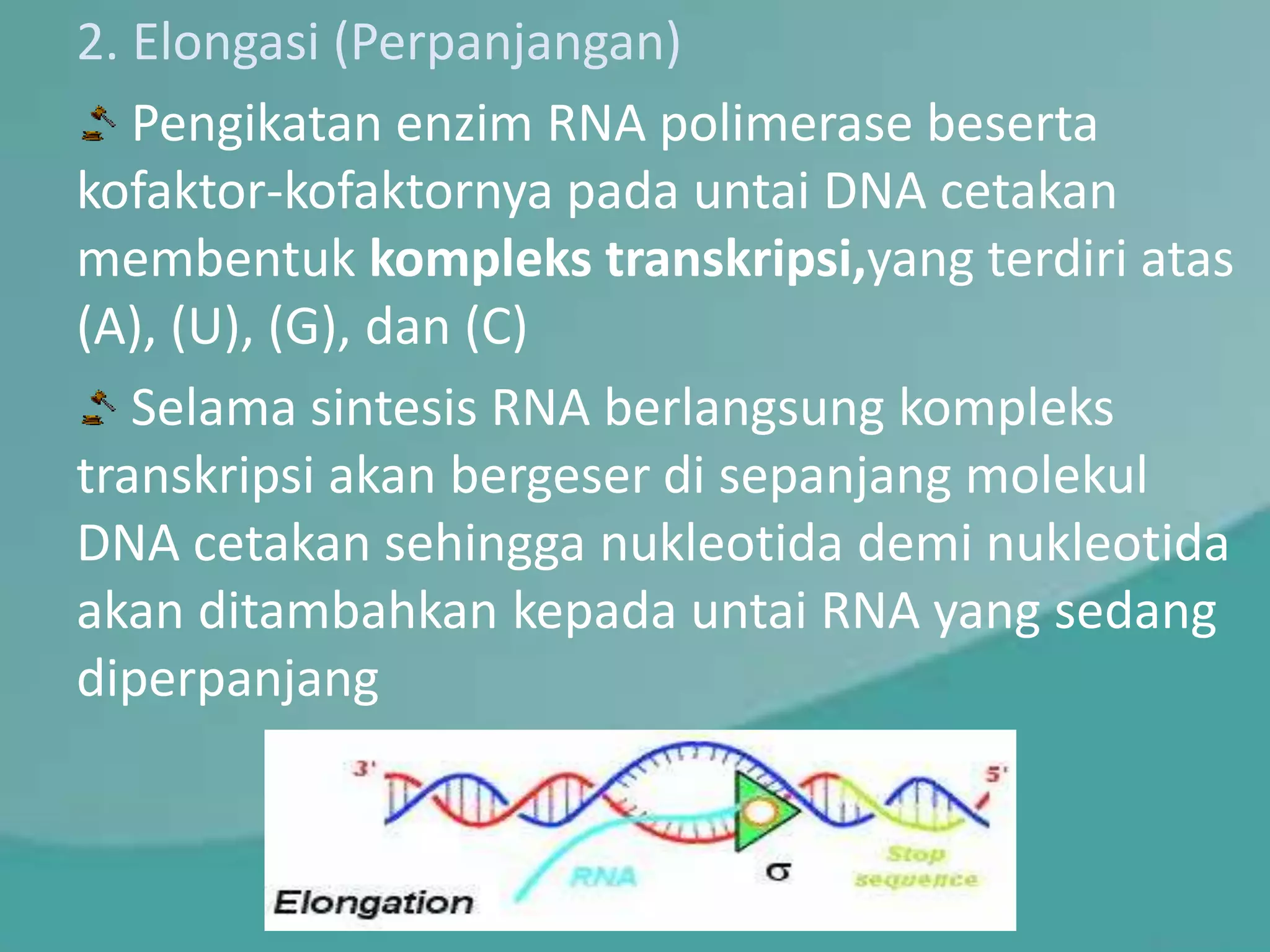 Proses Transkripsi | PPTX
