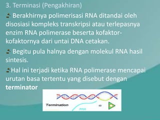 Proses Transkripsi | PPTX