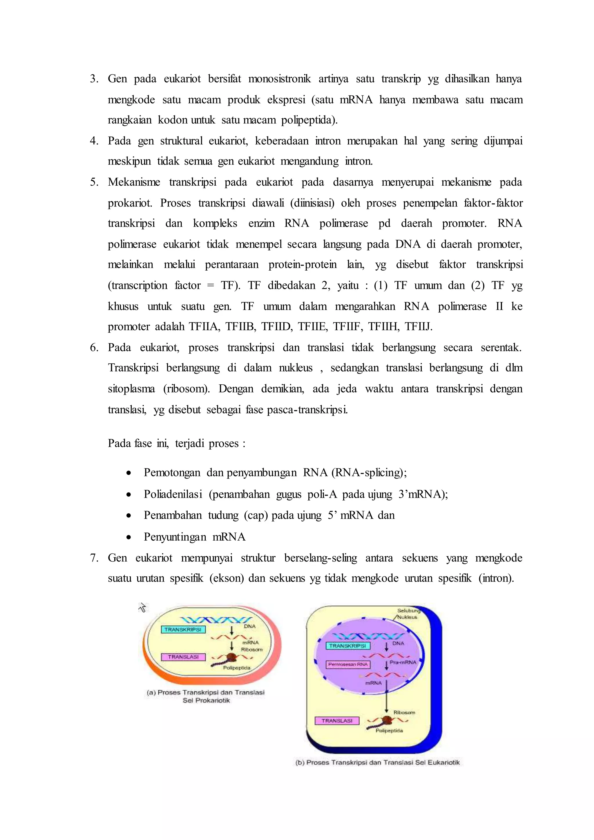 Transkripsi eukariot-prokariot | DOCX