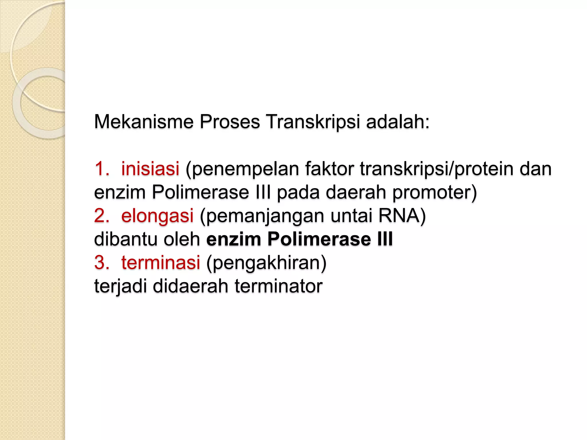 Transkripsi & Translasi | PPTX