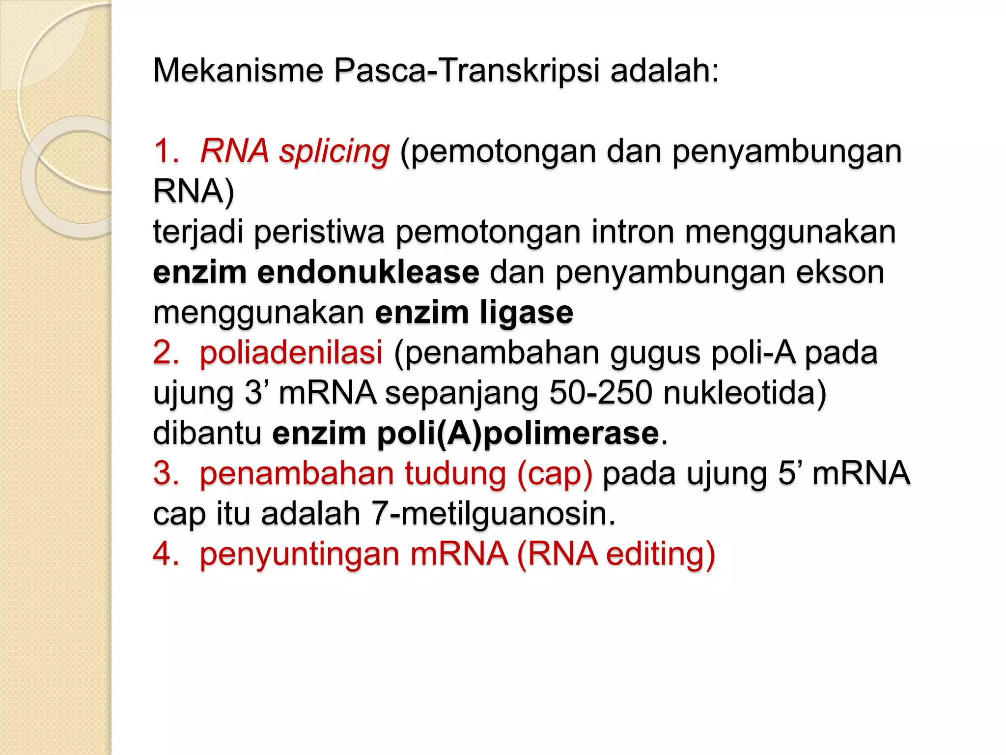 Transkripsi & Translasi | PPTX