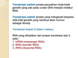 Transkripsi & Translasi | PPTX