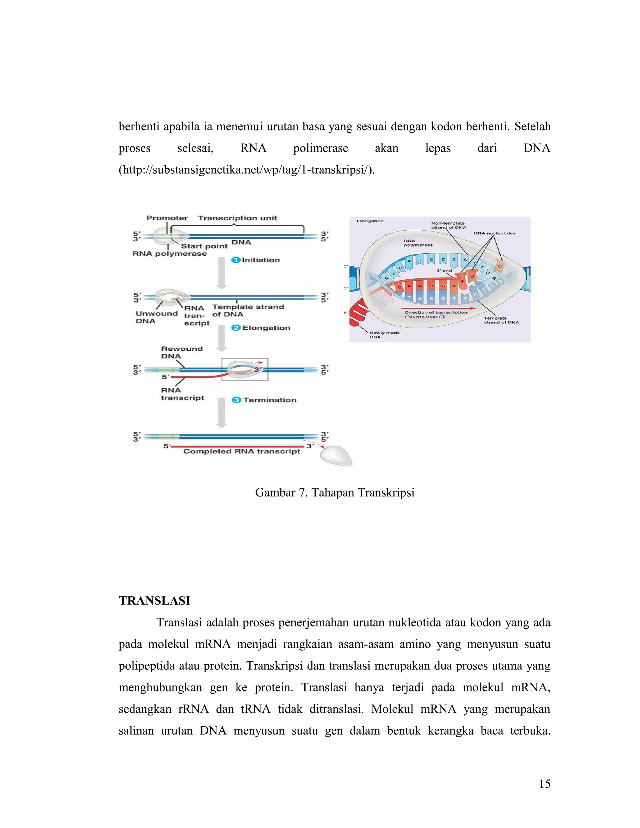 Transkripsi, translasi dan replikasi | DOC
