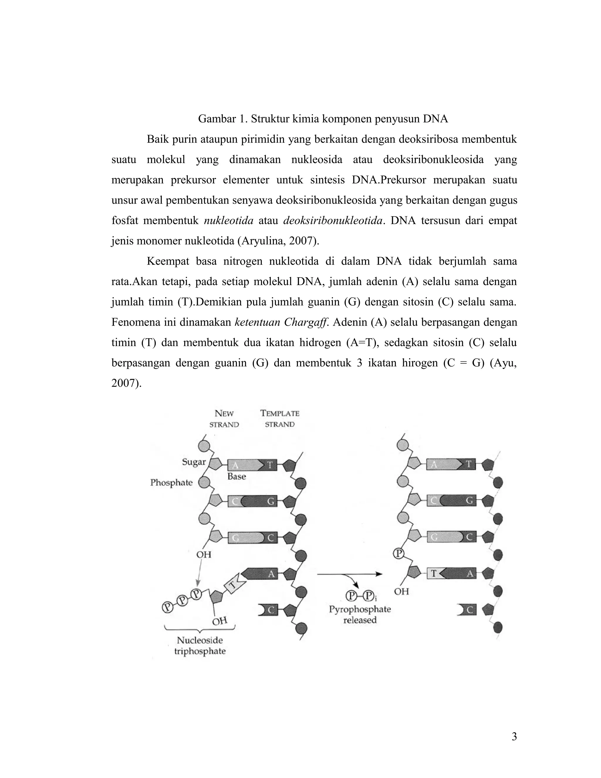 Transkripsi, translasi dan replikasi | DOC