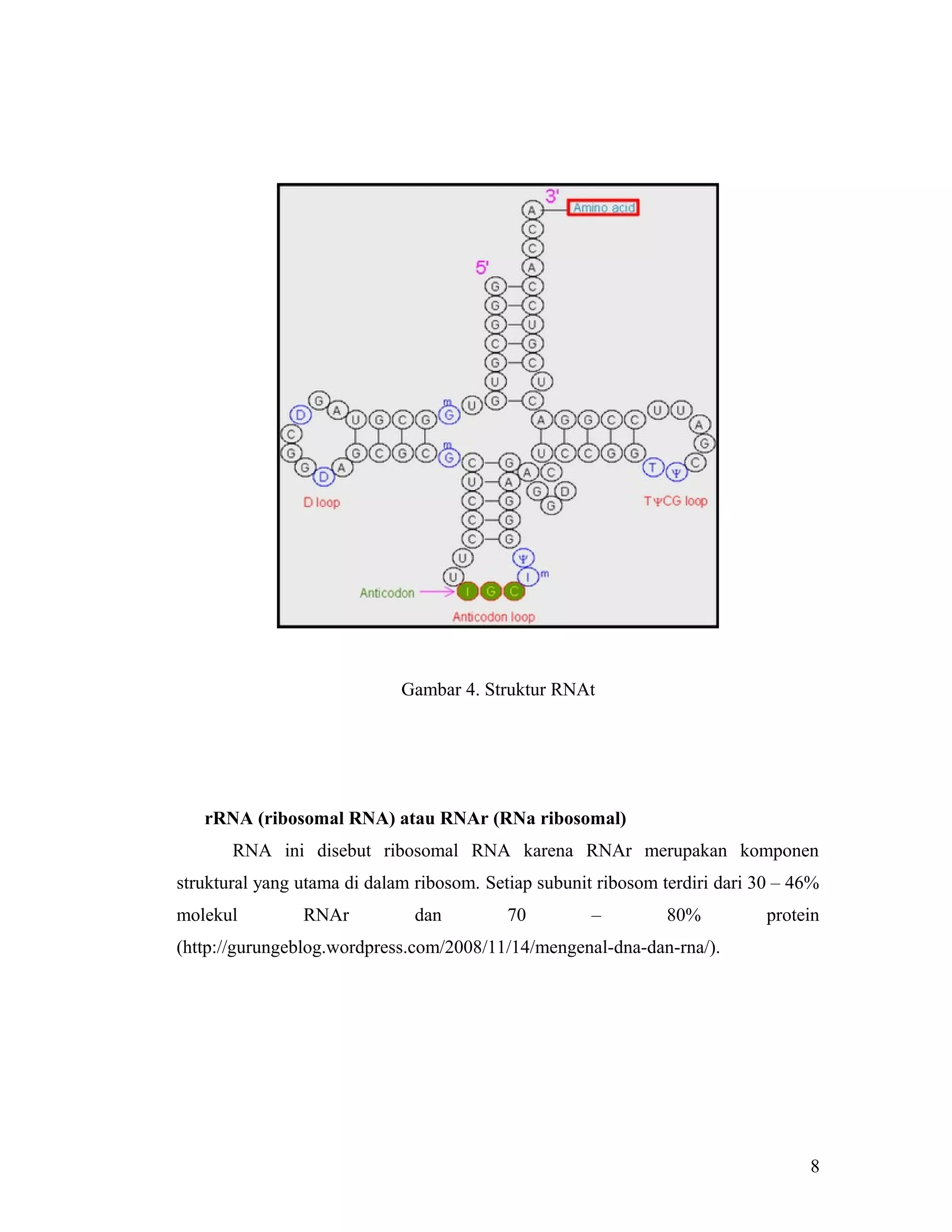 Transkripsi, translasi dan replikasi | DOC