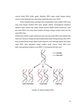Transkripsi, translasi dan replikasi | DOC