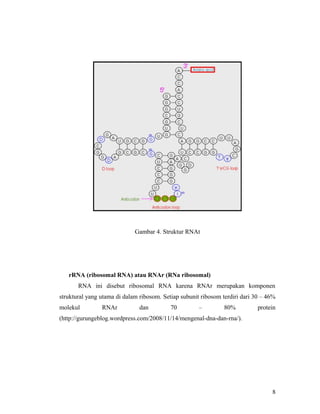 Transkripsi, translasi dan replikasi | DOC